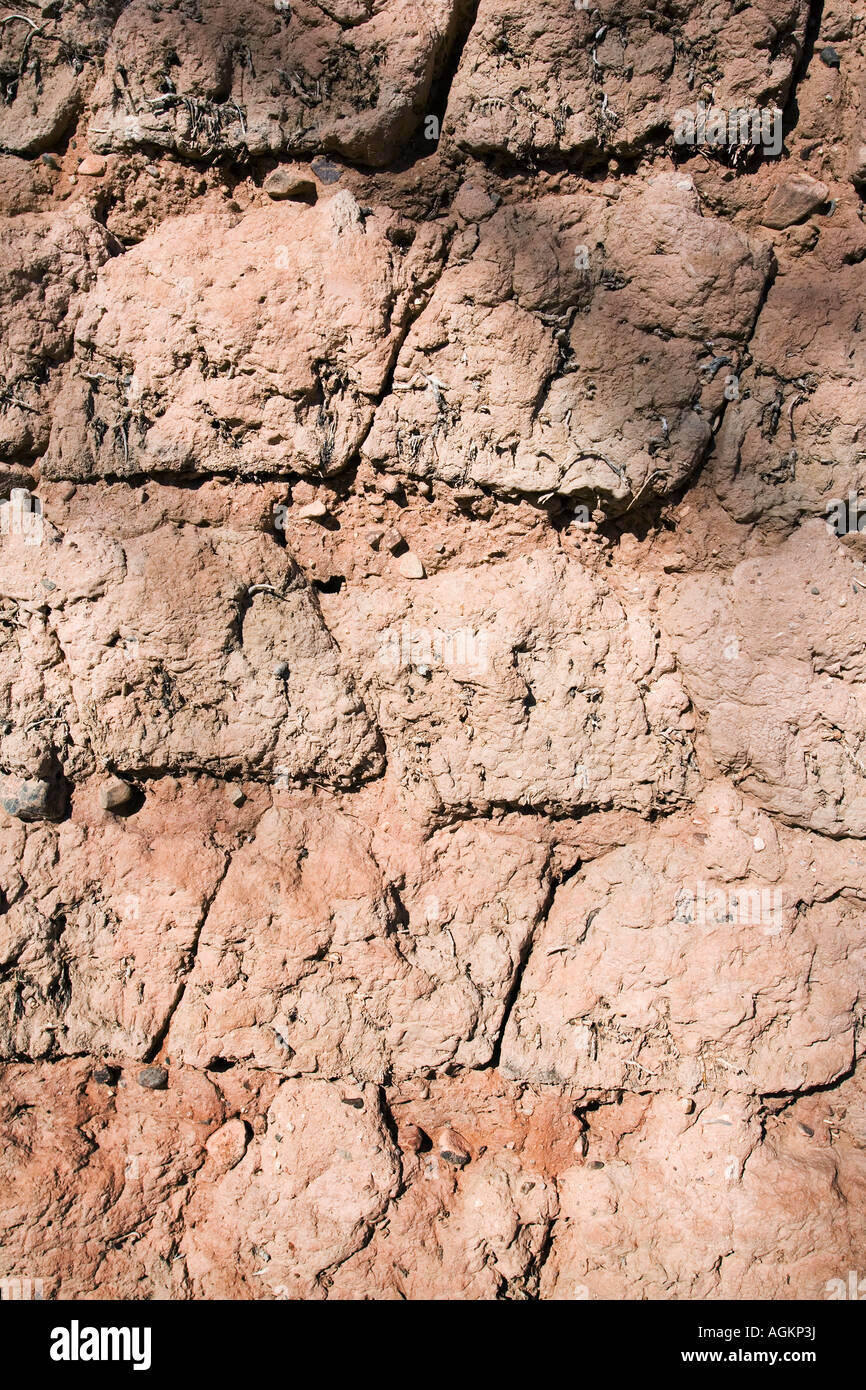 Knotts Adobe Wall Texture