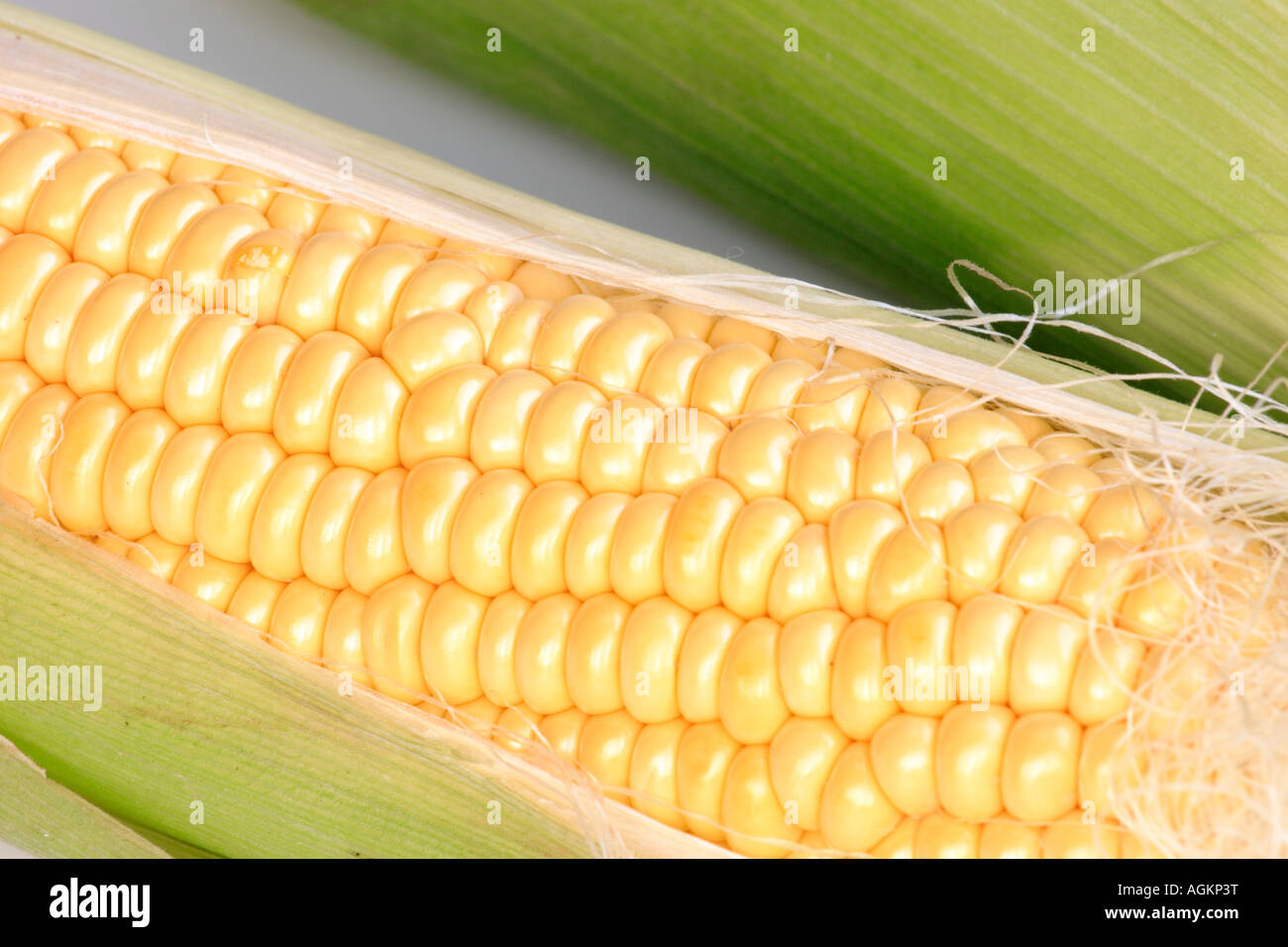 Corn cob close-up Stock Photo - Alamy
