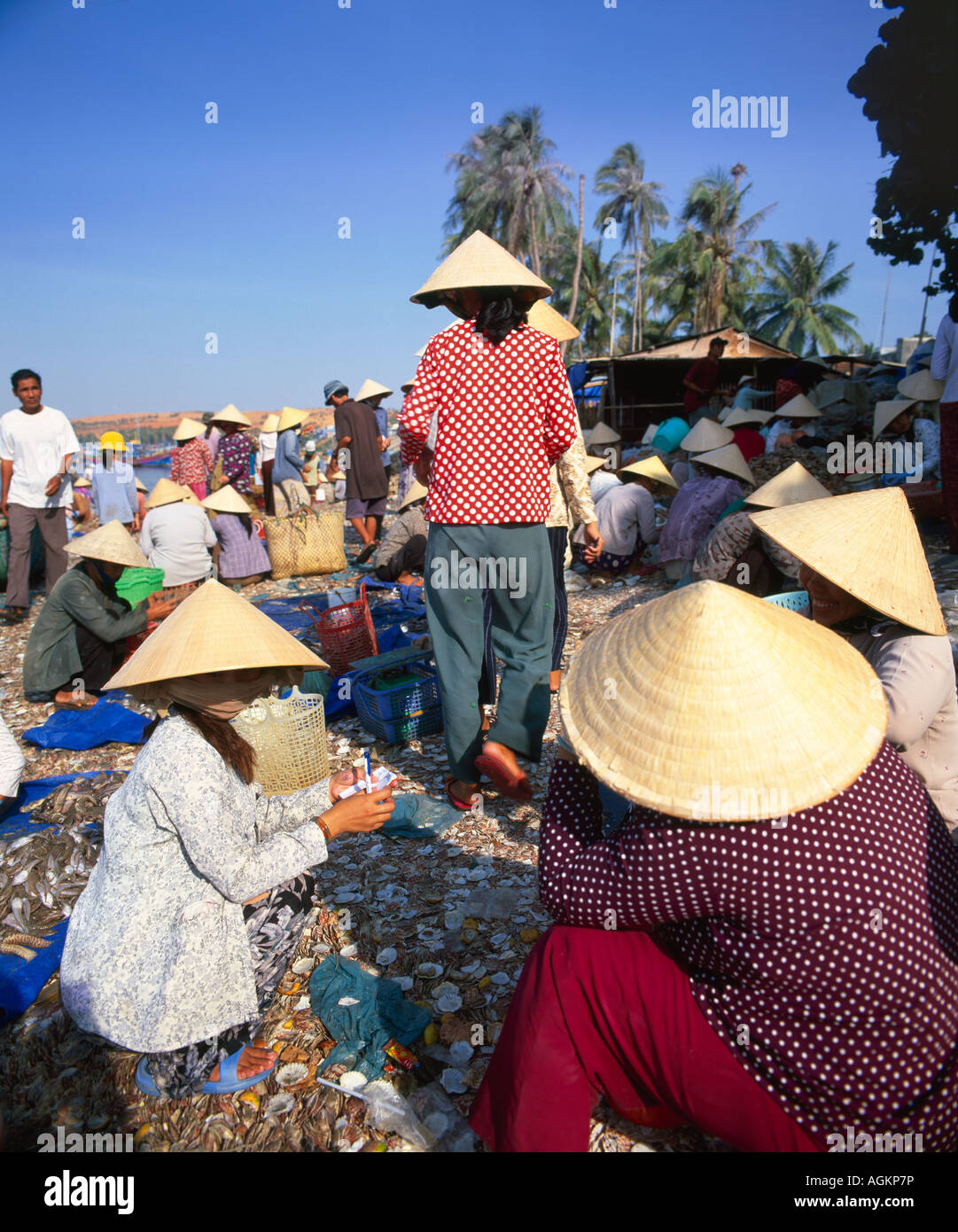 Fishing village people collecting the morning catch from fishing boat ...