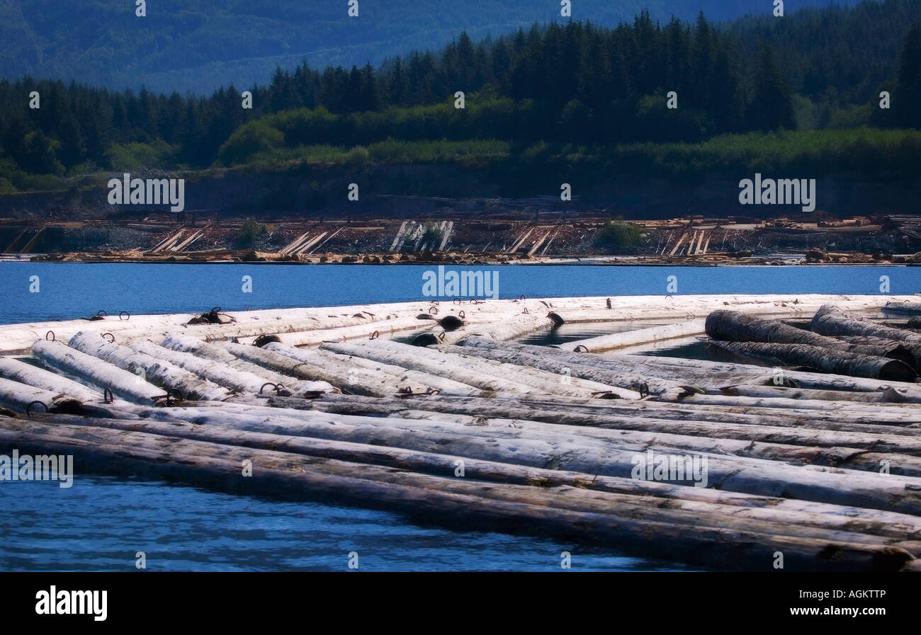 Log Driving High Resolution Stock Photography and Images - Alamy