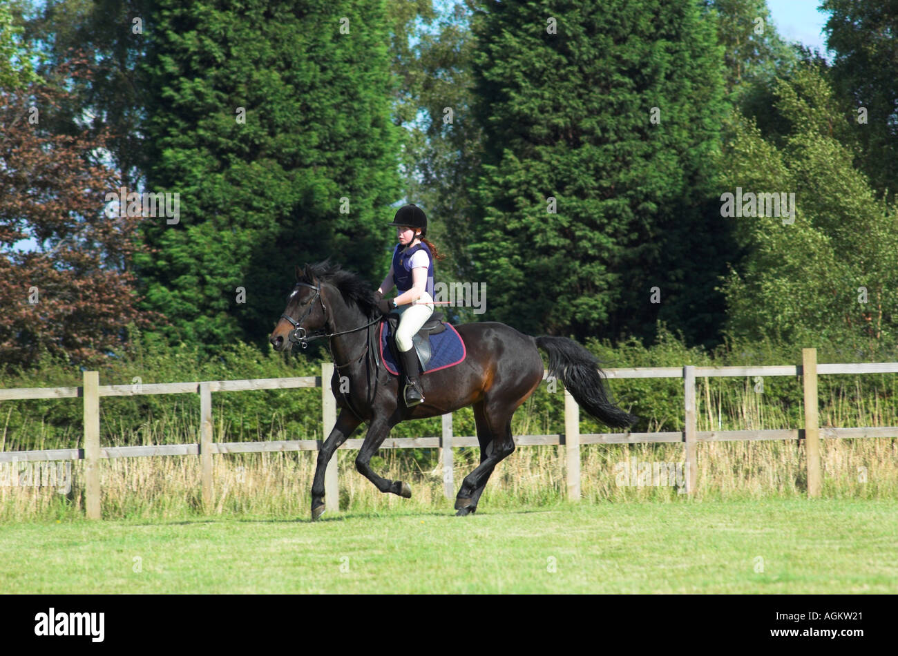 Child pony riding competition hi-res stock photography and images - Alamy