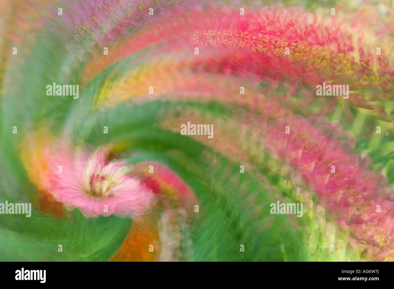 Multiple exposure created hi-res stock photography and images - Alamy