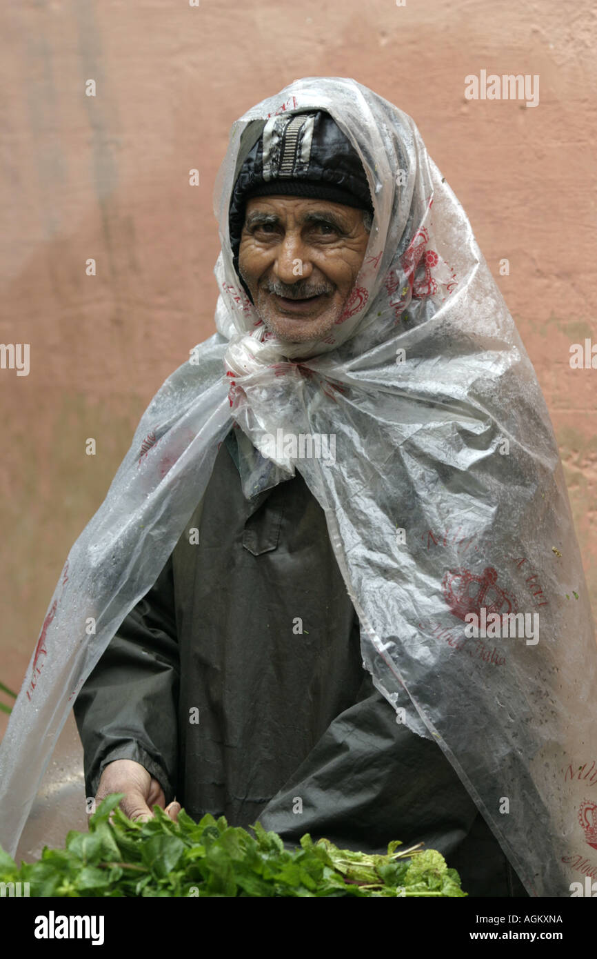 Moroccan mint morocco hi-res stock photography and images - Alamy