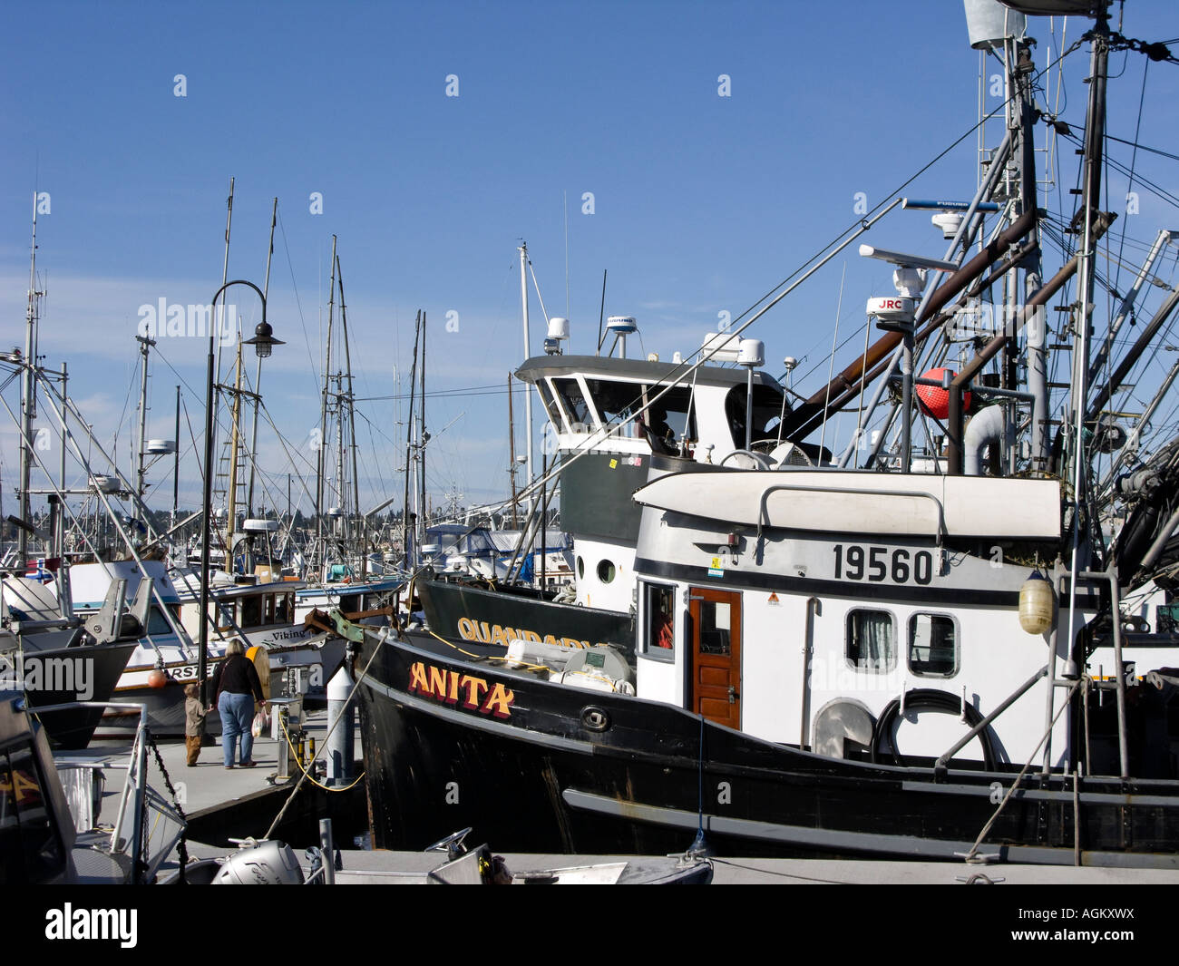 Pacific salmon fleet Fishermen s Terminal on Salmon Bay near Ballard ...