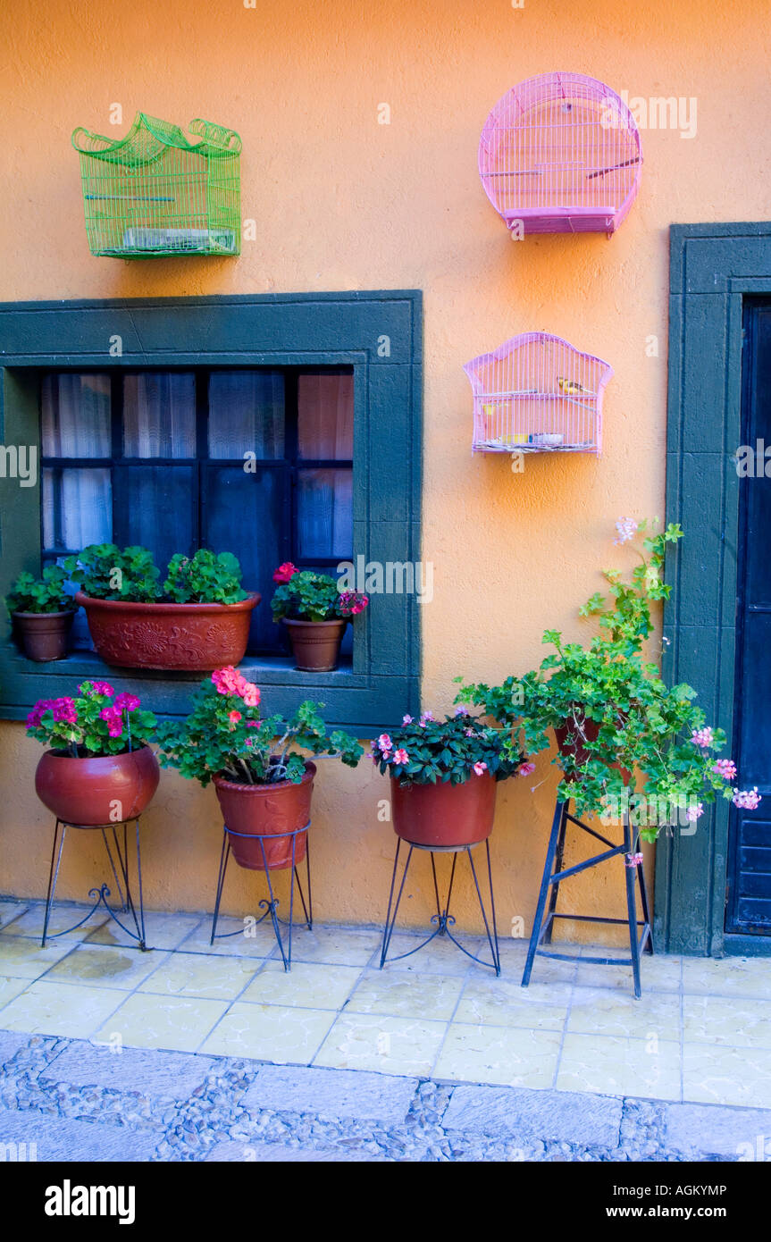 Mexico, San Miguel de Allende, Bird cages and pots of geraniums in ...