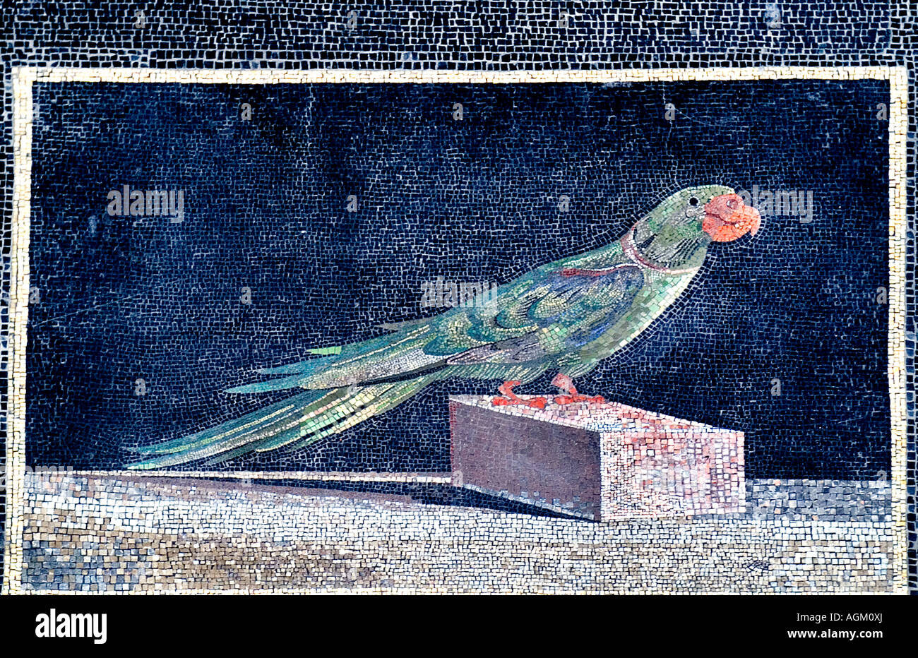 Bird mosaic floor parrot 200 bc rome roman Italy Stock Photo - Alamy