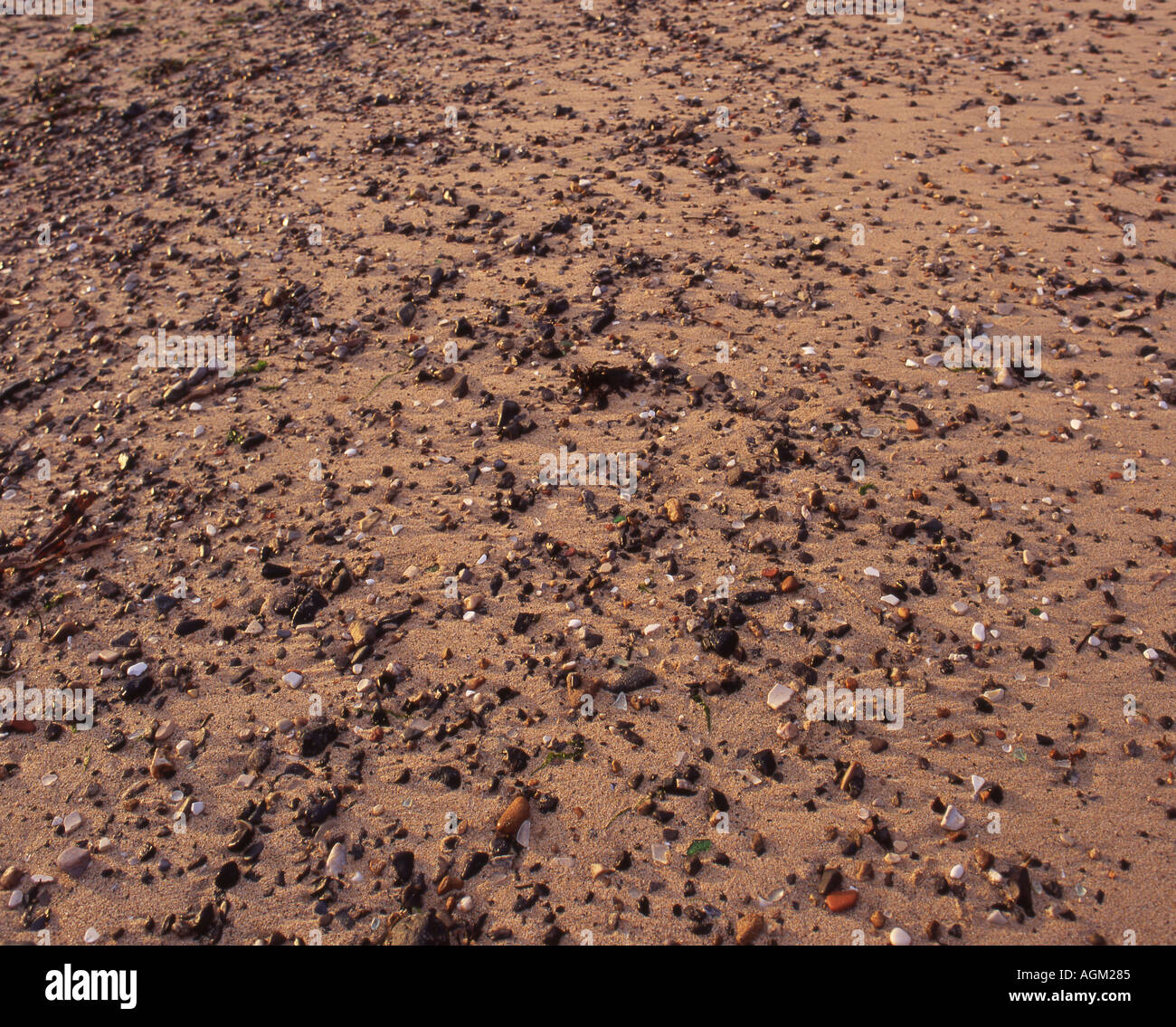 Small pebbles hi-res stock photography and images - Alamy