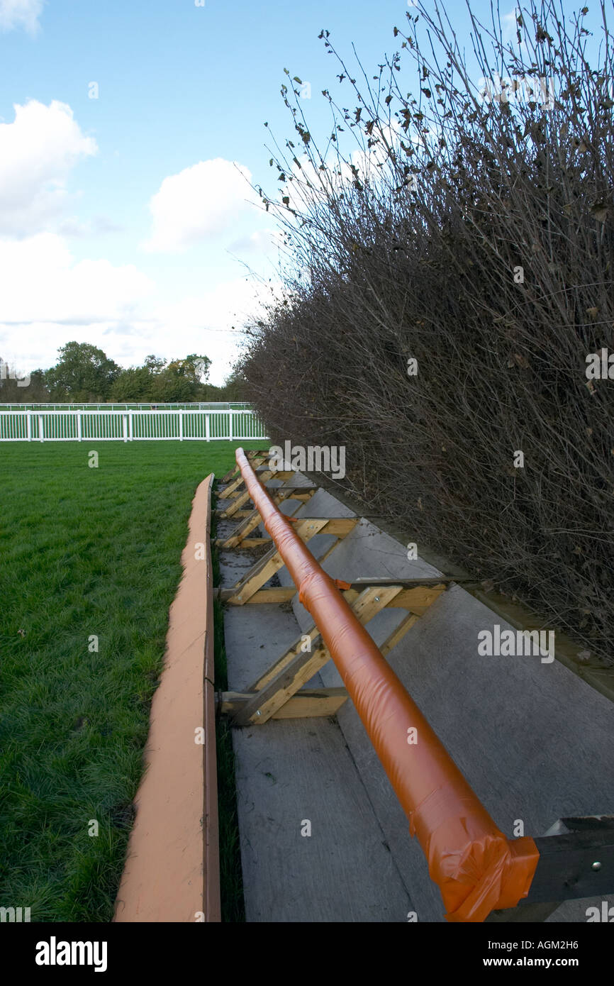 Royal windsor racecourse hi-res stock photography and images - Alamy