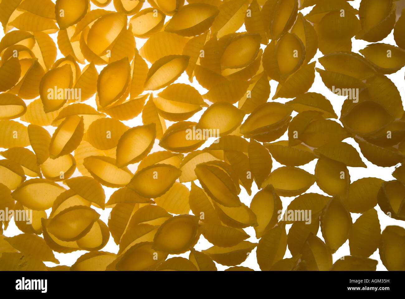 Backlit Pasta Shells Conchiglioni Conchiglie Stock Photo - Alamy