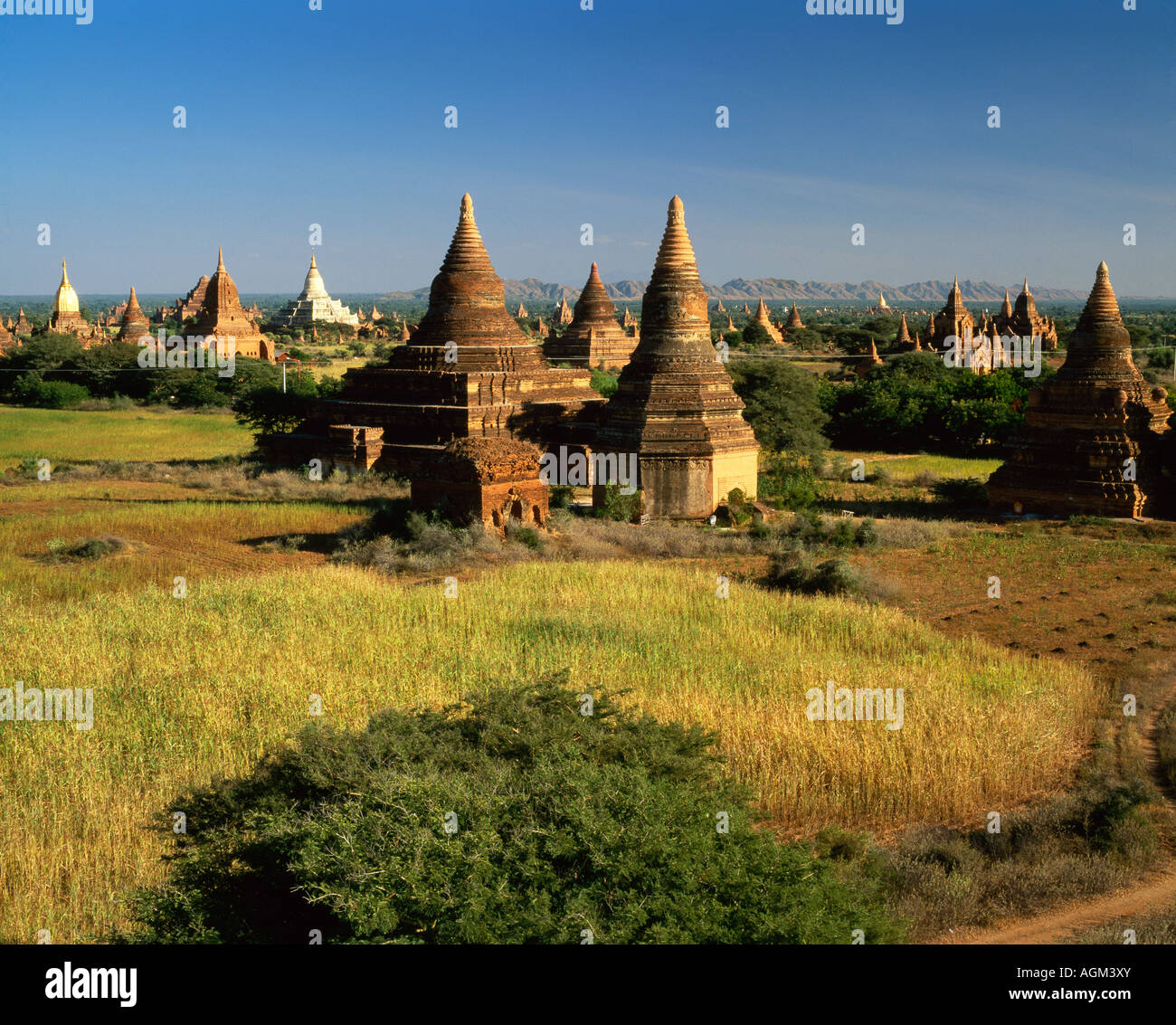 Myanmar Burma Bagan Pagan Old Bagan Archaeological Zone Ancient Temples ...