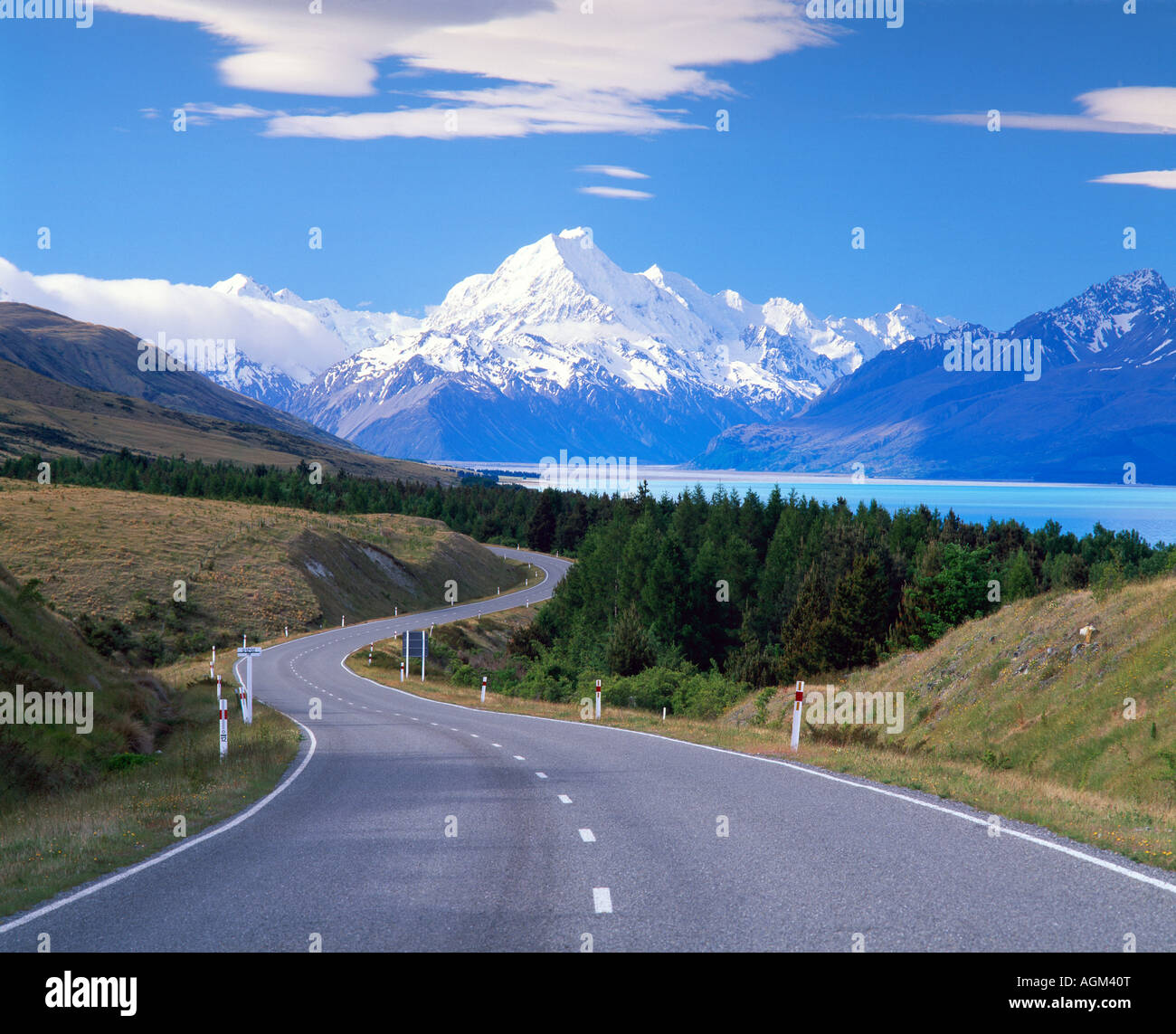 New Zealand South Island South Canterbury Mackenzie Country Aoraki ...