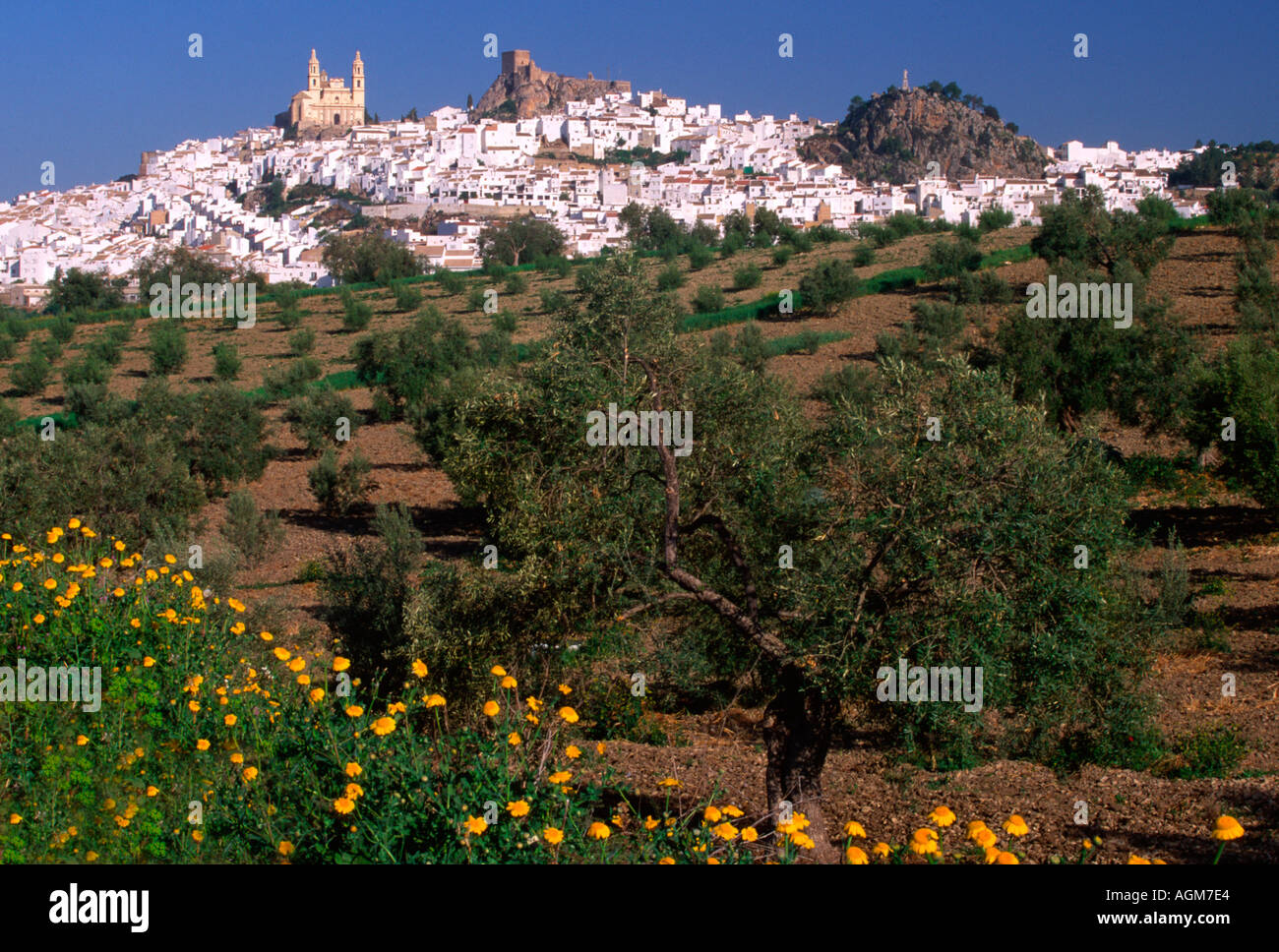 Olvera, Andalusia, Spain Stock Photo - Alamy