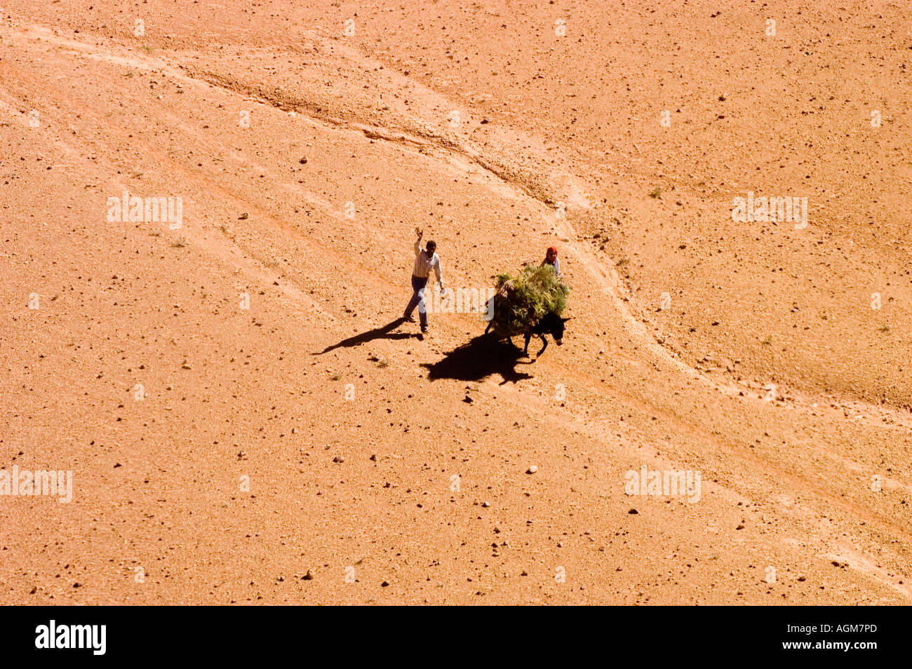 A mother and son seen on the way to market with their donkey from a ...