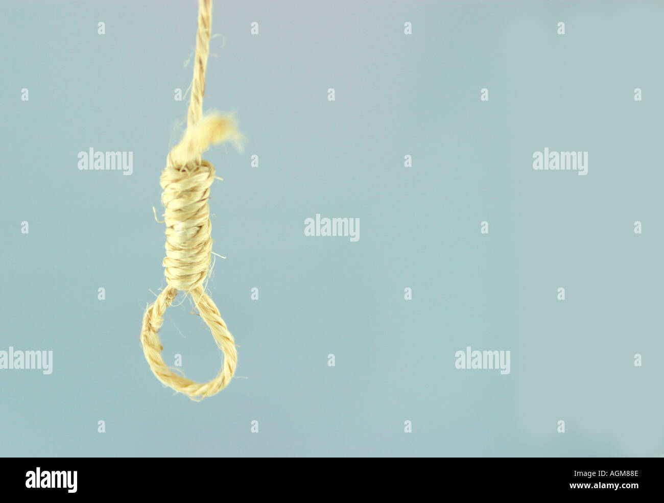 Hangman s noose Stock Photo - Alamy
