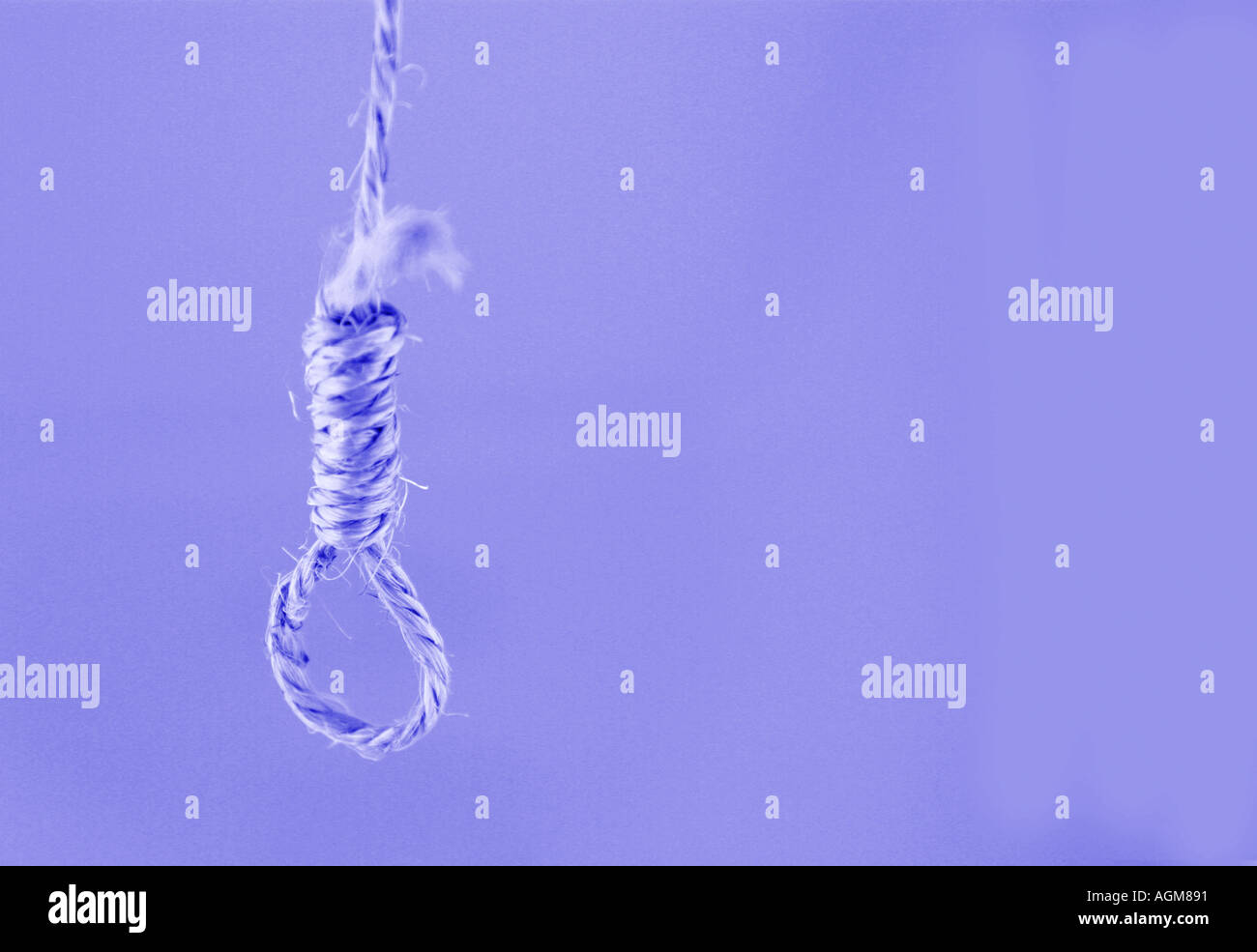 Hangman s noose Stock Photo - Alamy