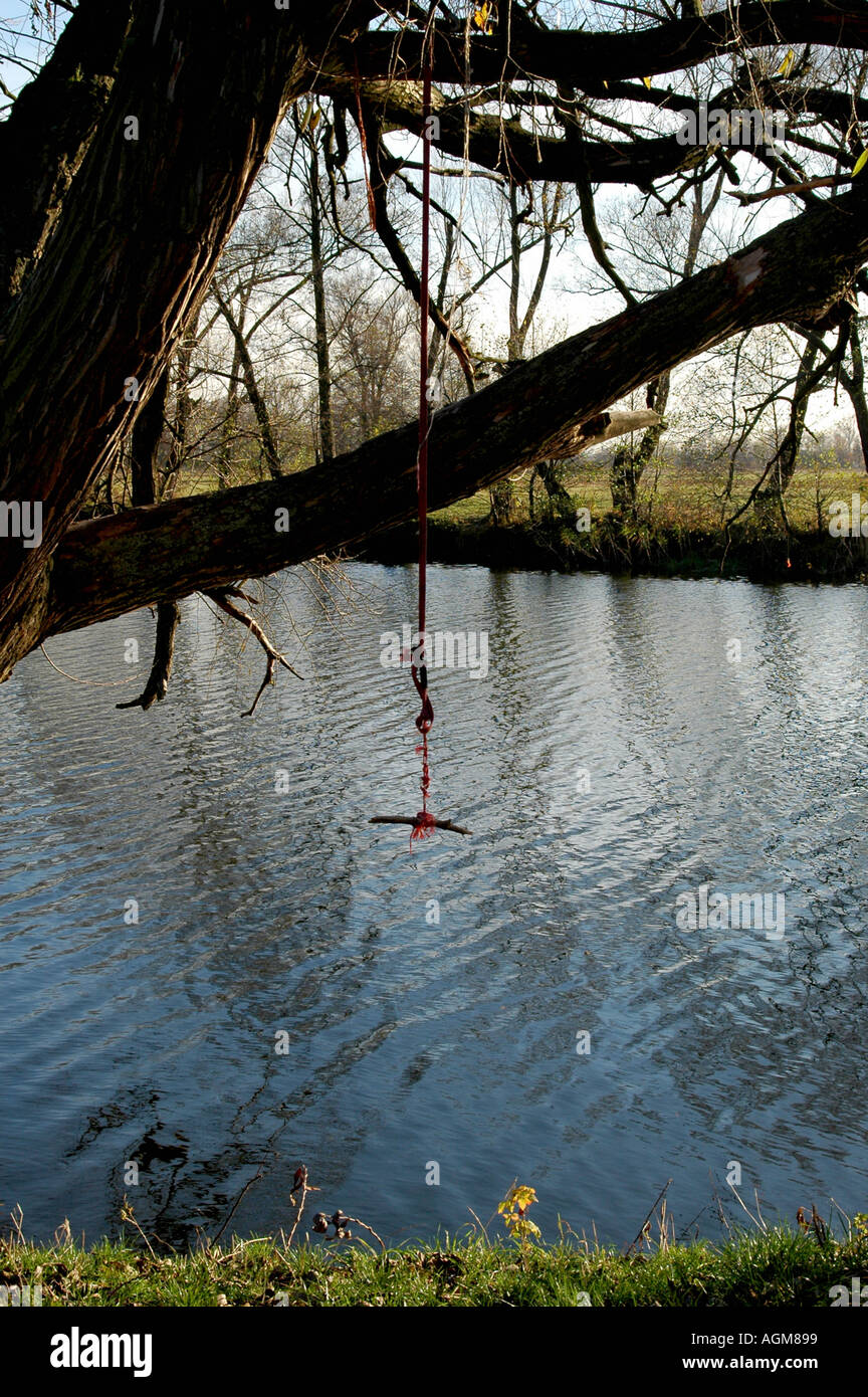 Swing on tree branch over the water Stock Photo - Alamy