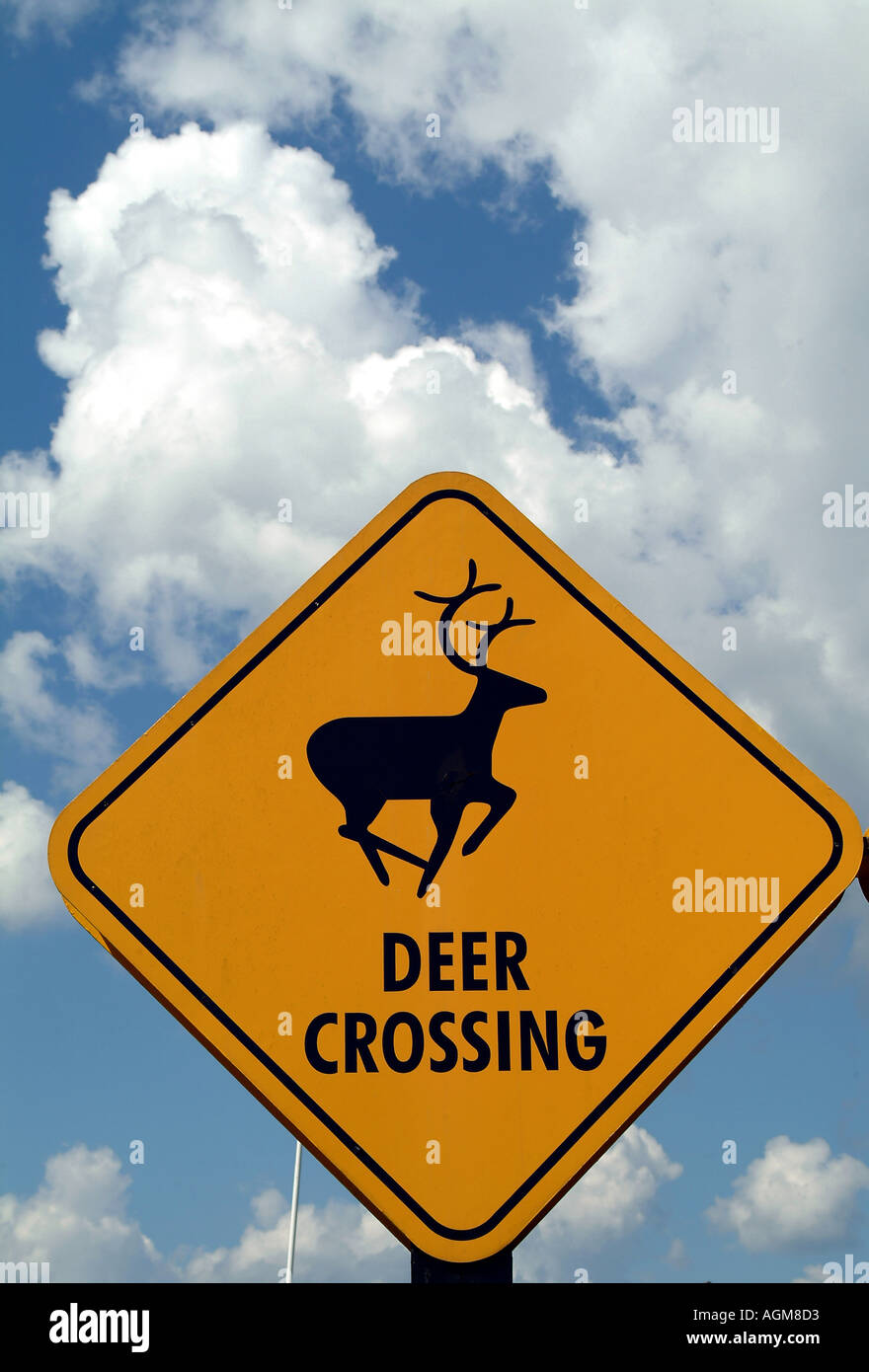 Deer Crossing Sign Canada