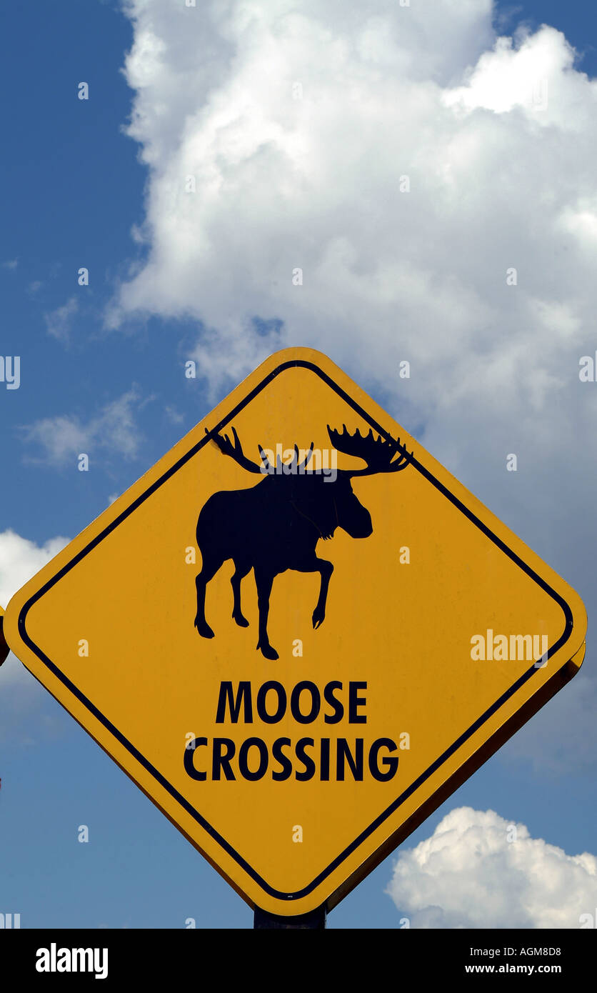Moose crossing road sign canada hi-res stock photography and images - Alamy