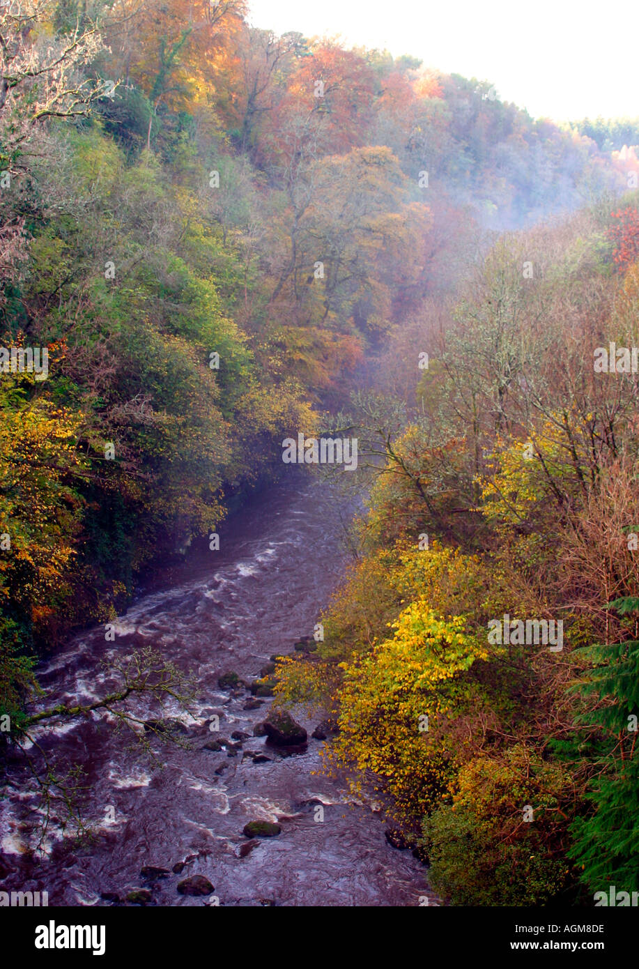 River in picturesque glen Chatelherault Country Park Hamilton ...
