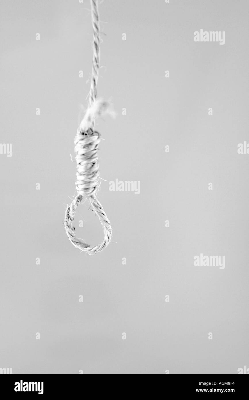Hangman s noose Stock Photo - Alamy