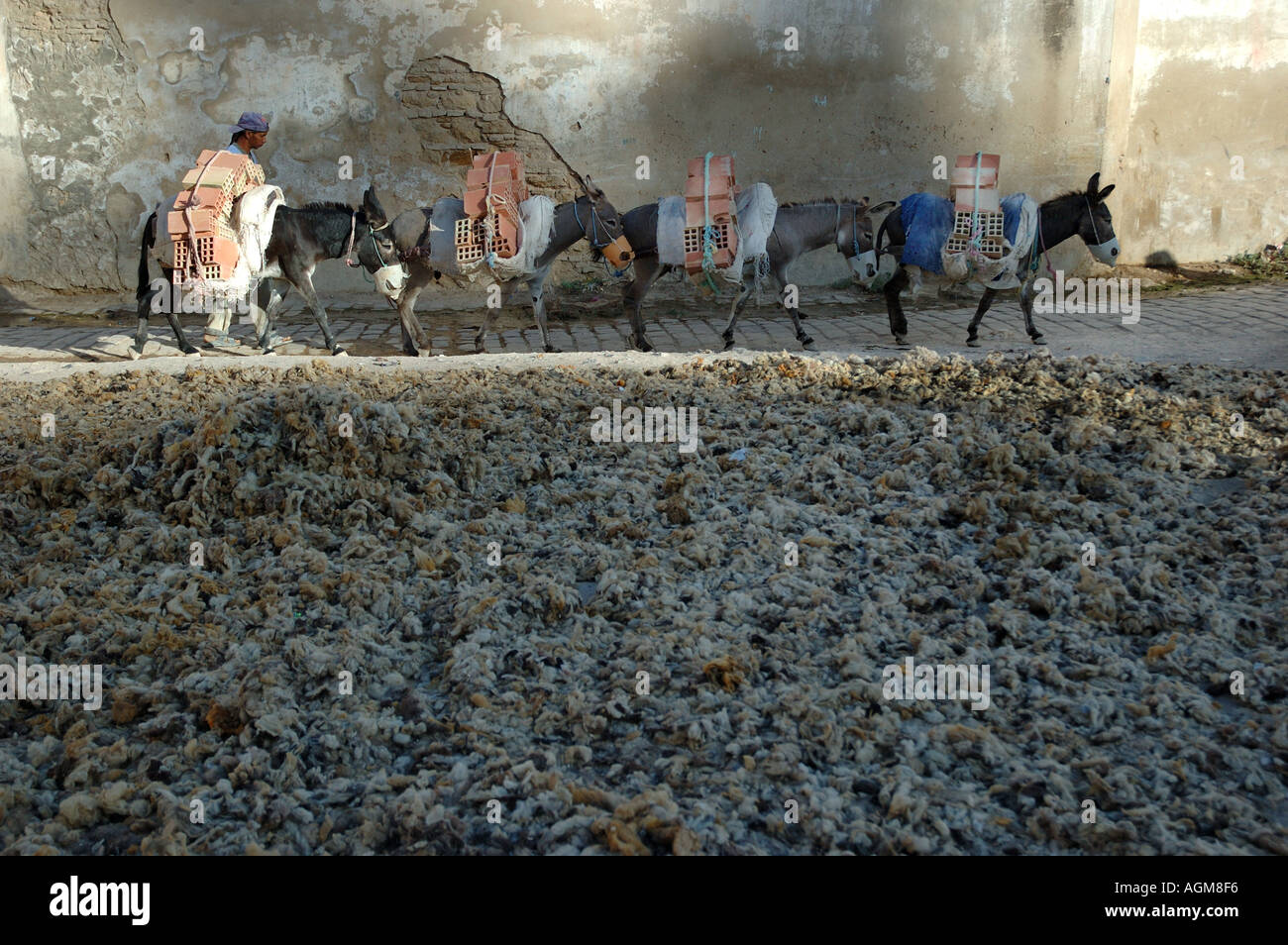 Hod carrier hi-res stock photography and images - Alamy