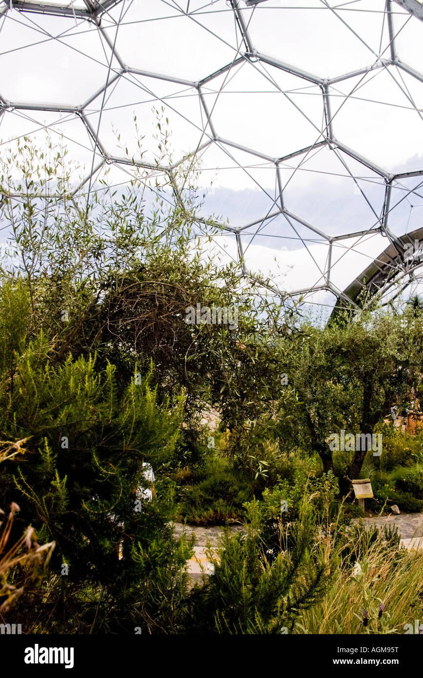 eden project cornwall england uk Stock Photo - Alamy