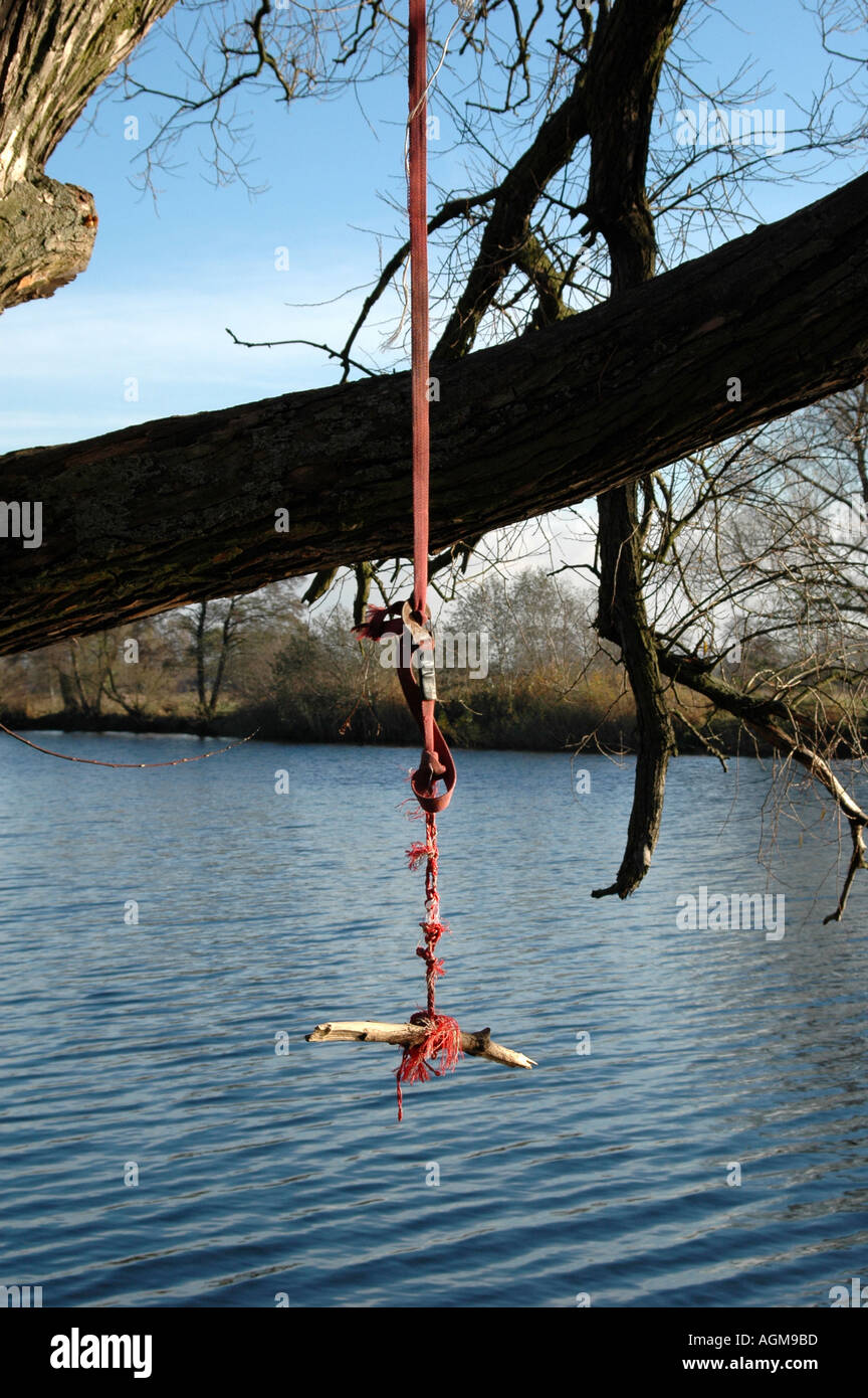 Swing on tree branch over the water Stock Photo - Alamy