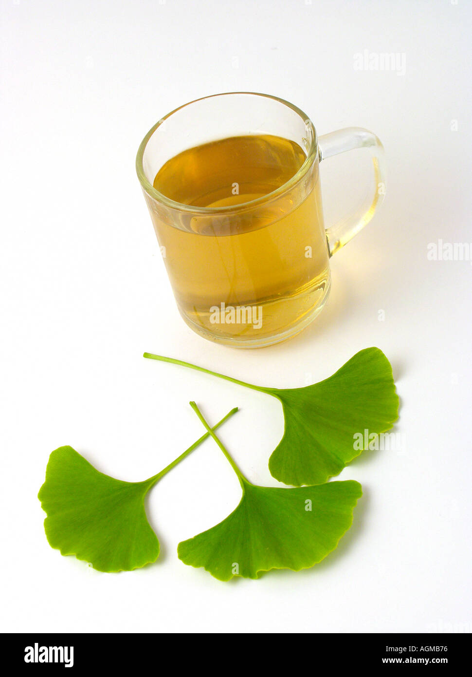 Ginkgo biloba infusion Stock Photo - Alamy