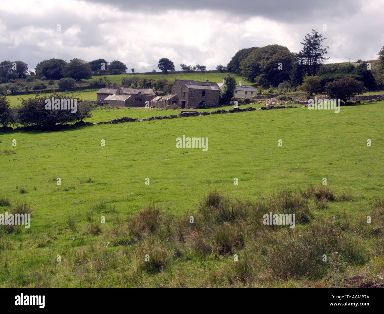 Country Scene Merivale Dartmoor National Park Devon England UK Stock ...