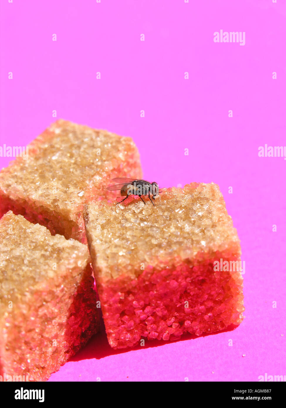 Sugar bugs hi-res stock photography and images - Alamy