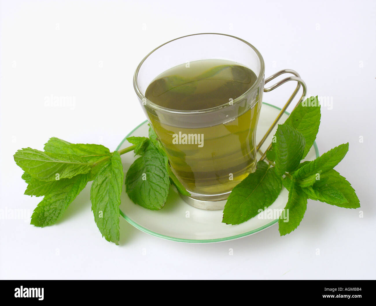 Mint infusion Mentha piperita Stock Photo - Alamy