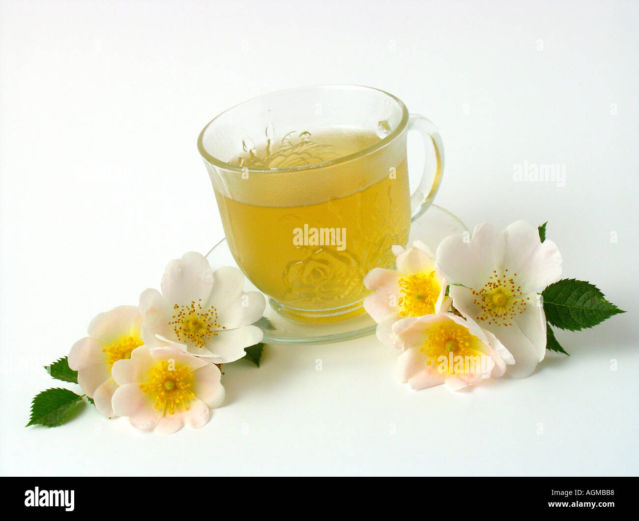 Tea roses close up Cut Out Stock Images & Pictures - Alamy