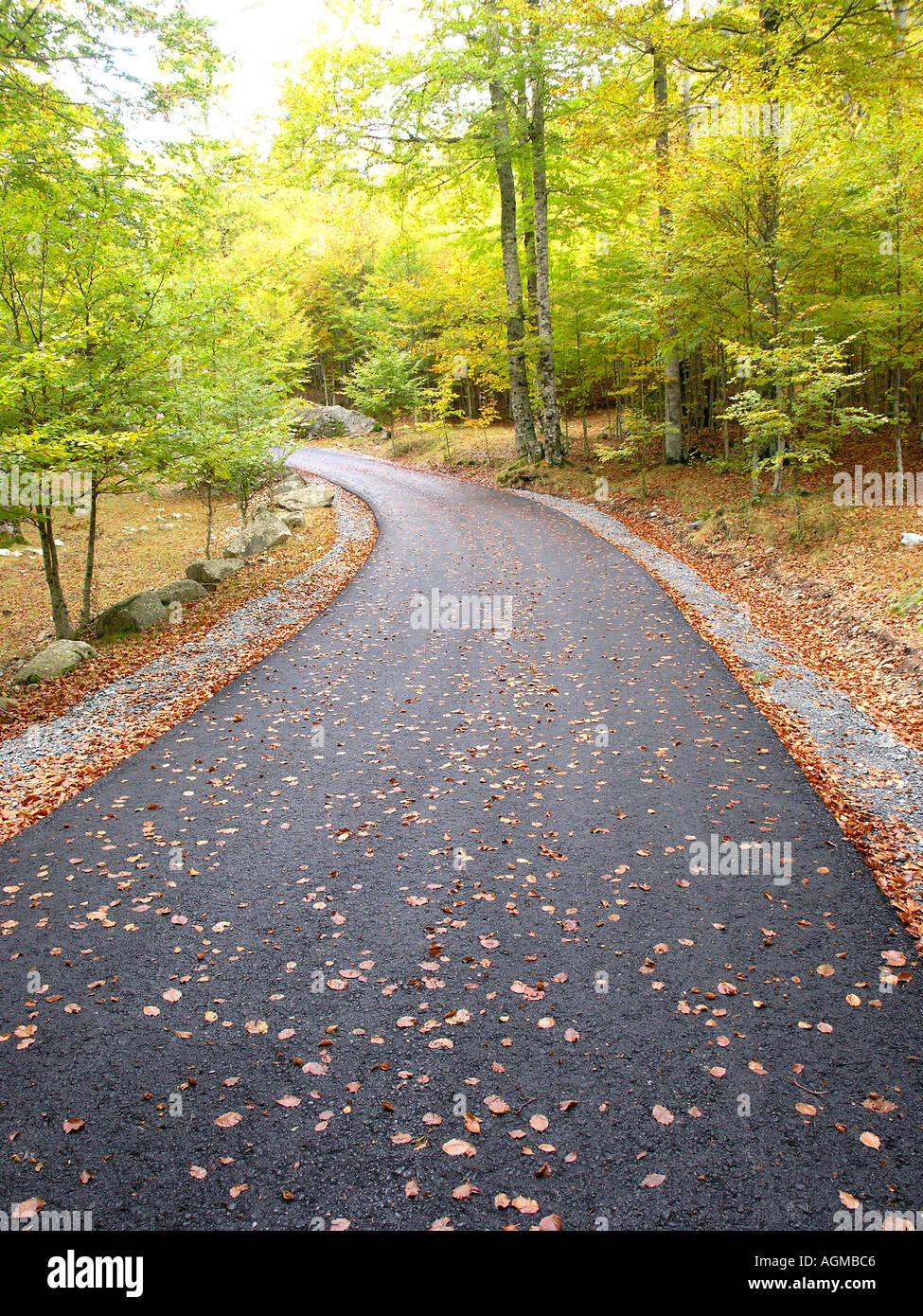 Adventure evasion hi-res stock photography and images - Alamy