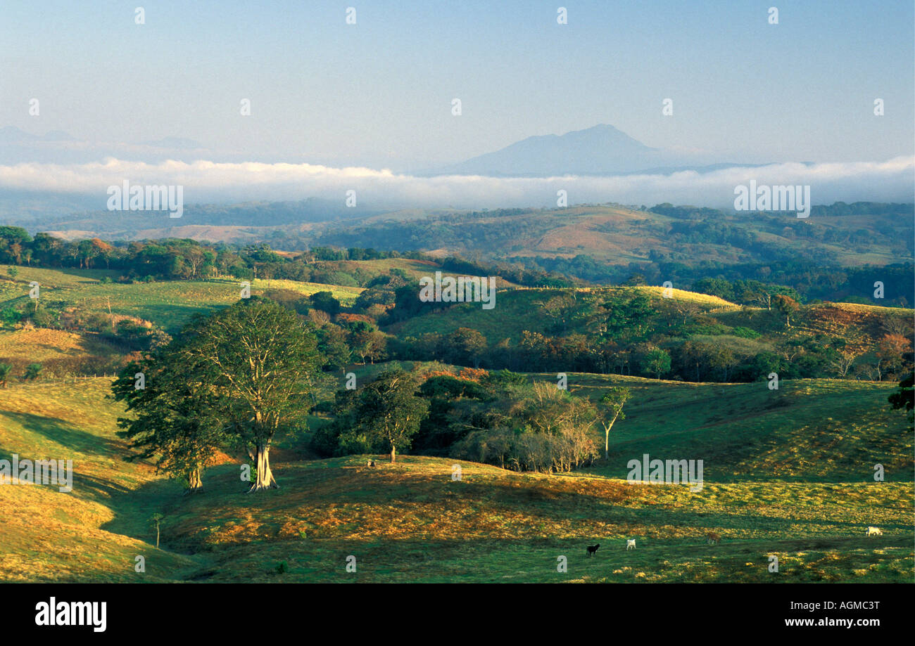 Monte verde natural park hi-res stock photography and images - Alamy