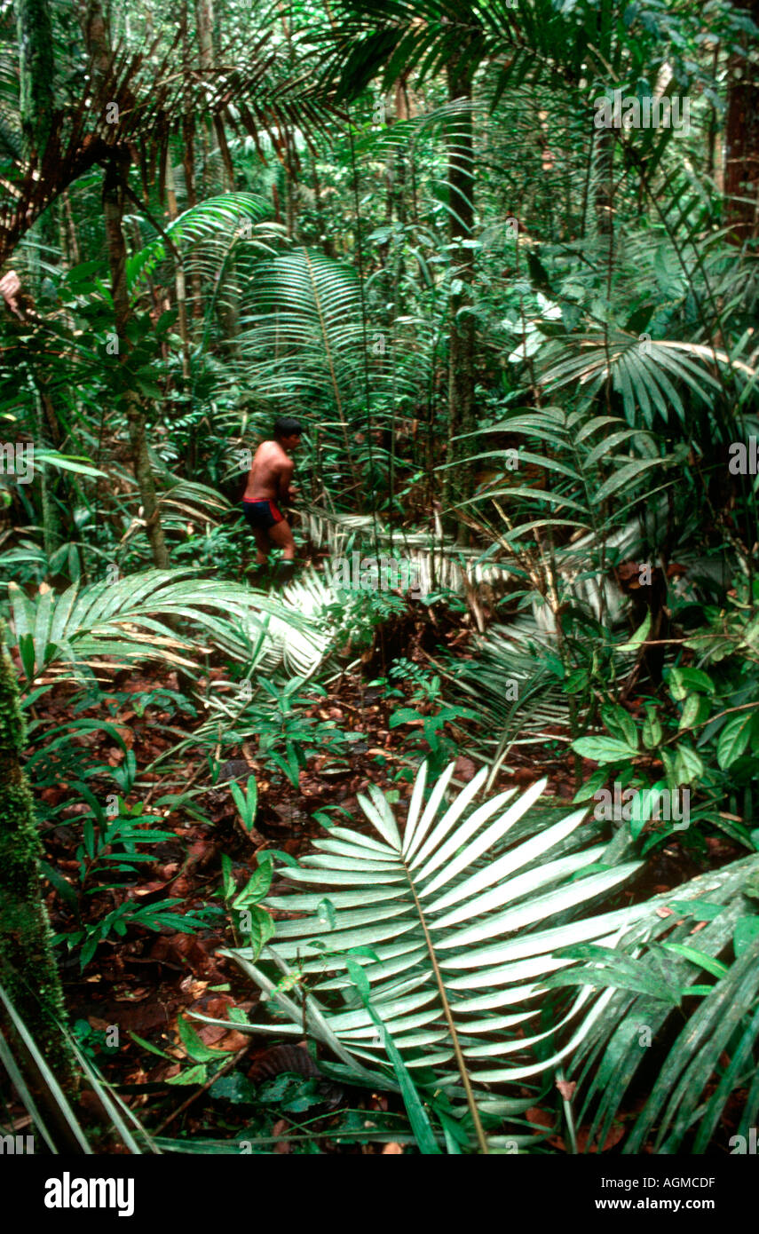 Indigenous people of the rain forest hi-res stock photography and ...