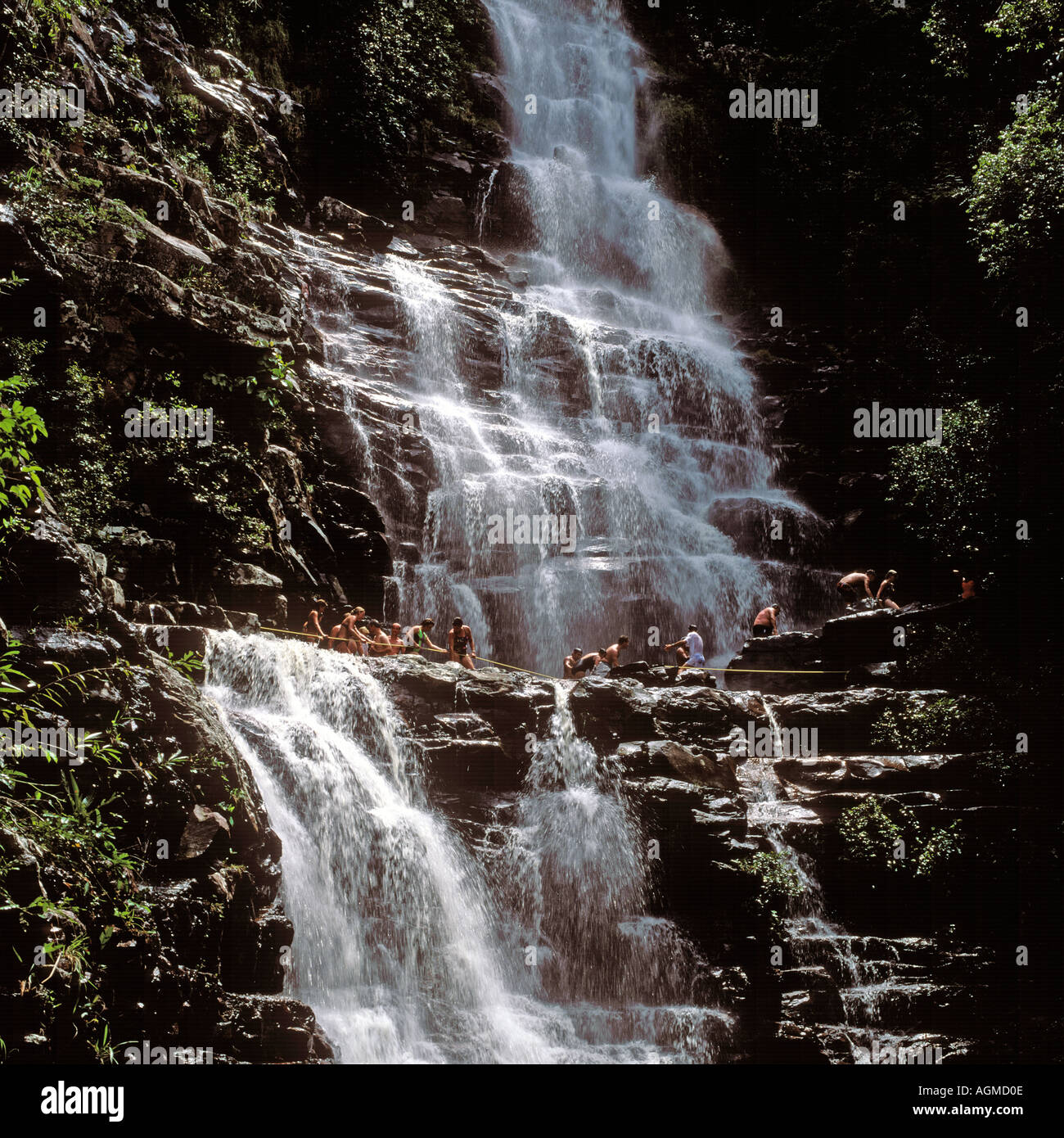 Kavak hi-res stock photography and images - Alamy