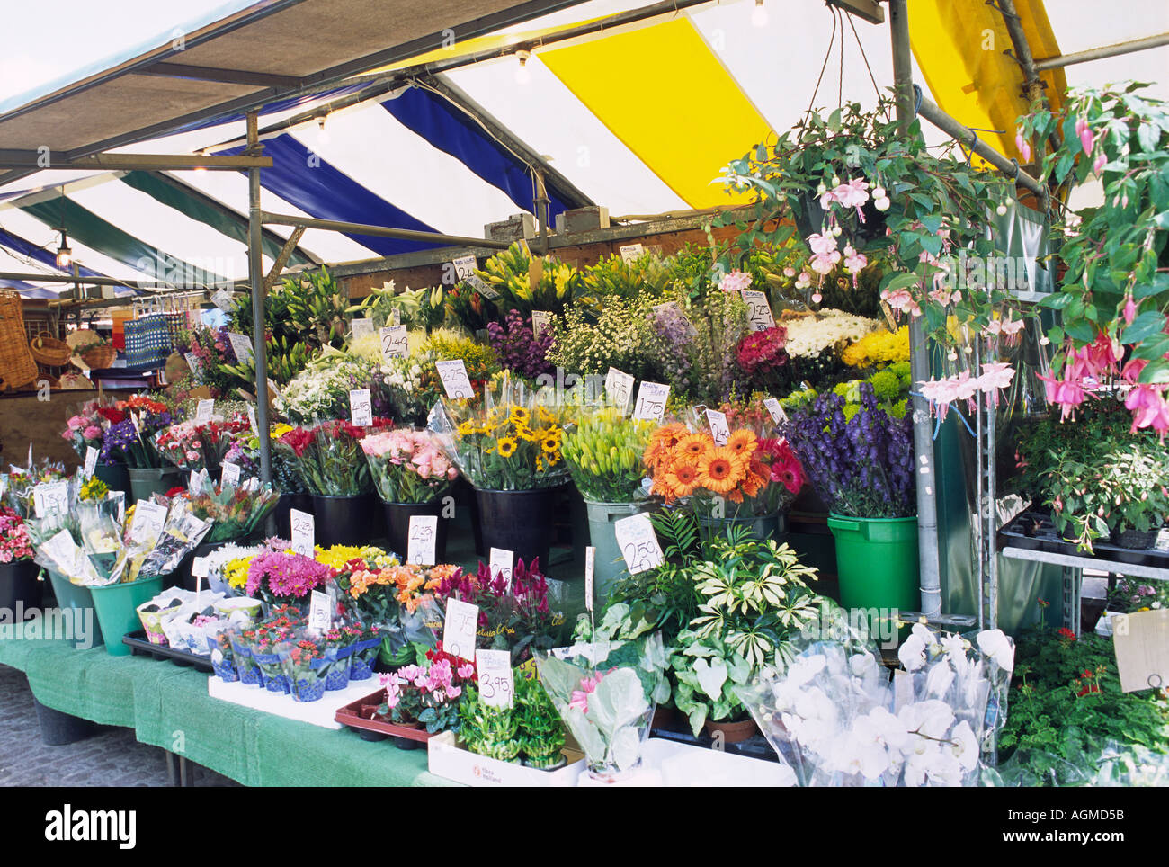 Flower Stall at Cambridge Open Air Market Stock Photo - Alamy