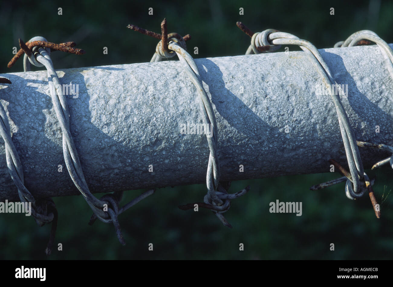 Barbed Wire on Gate Stock Photo - Alamy