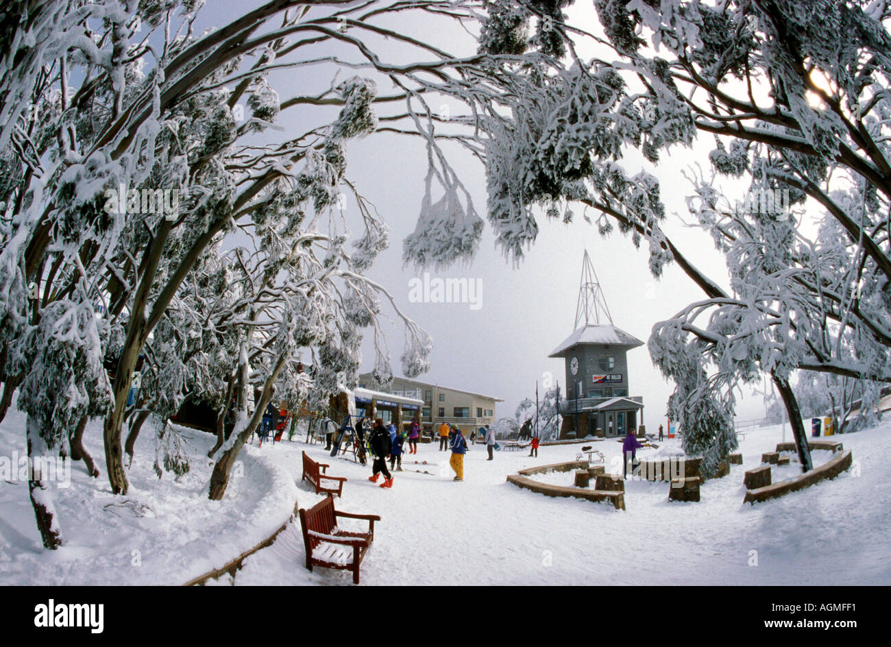 Mount Buller ski resort, Victoria Australia Stock Photo - Alamy