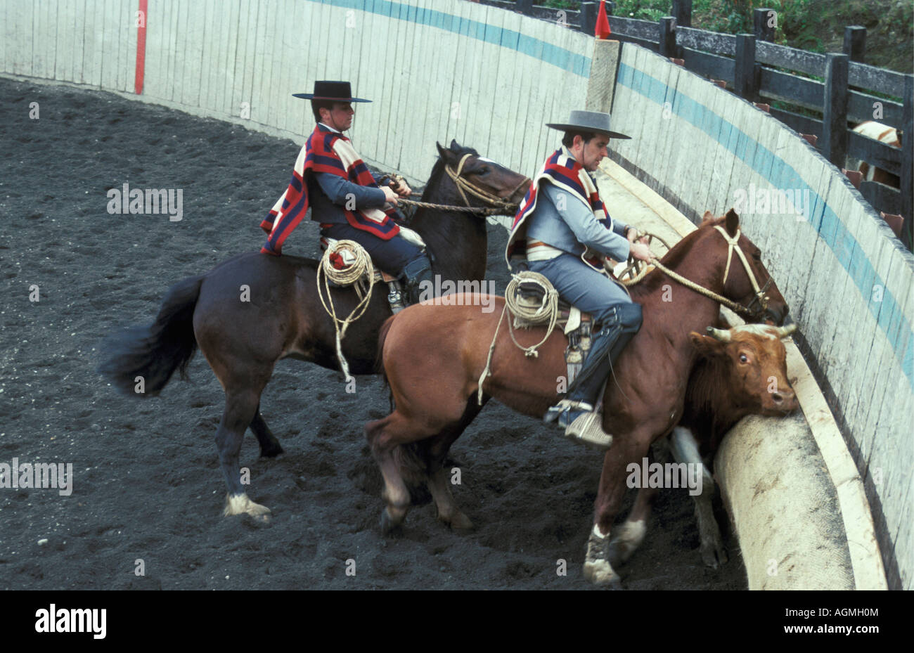 Chile, Frutillar, Cowboys at rodeo Stock Photo - Alamy