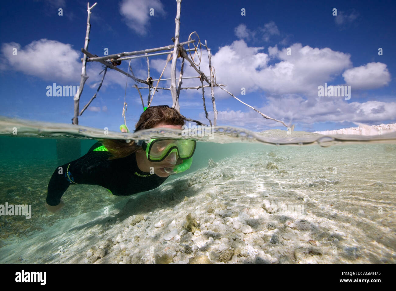 Under over views in shallow water at Toau Atoll French Polynesia Stock ...