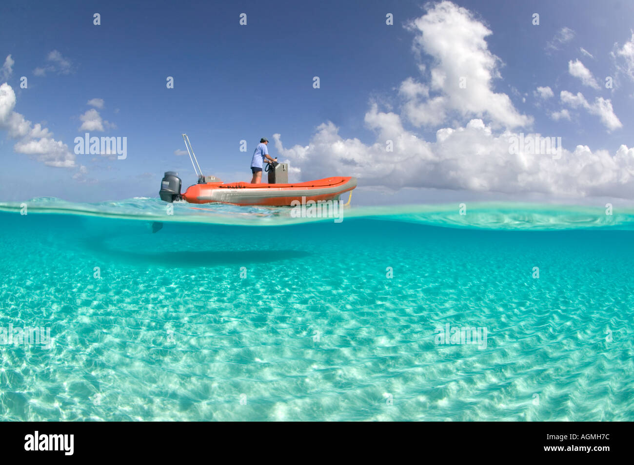 Under over image in Northwest Point shallows Provo Turks Caicos Islands ...