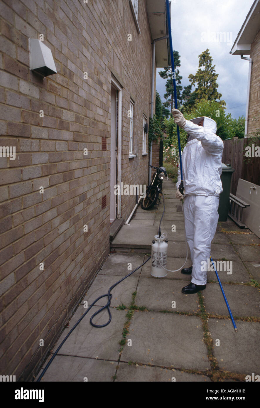 Exterminating insects hi-res stock photography and images - Alamy