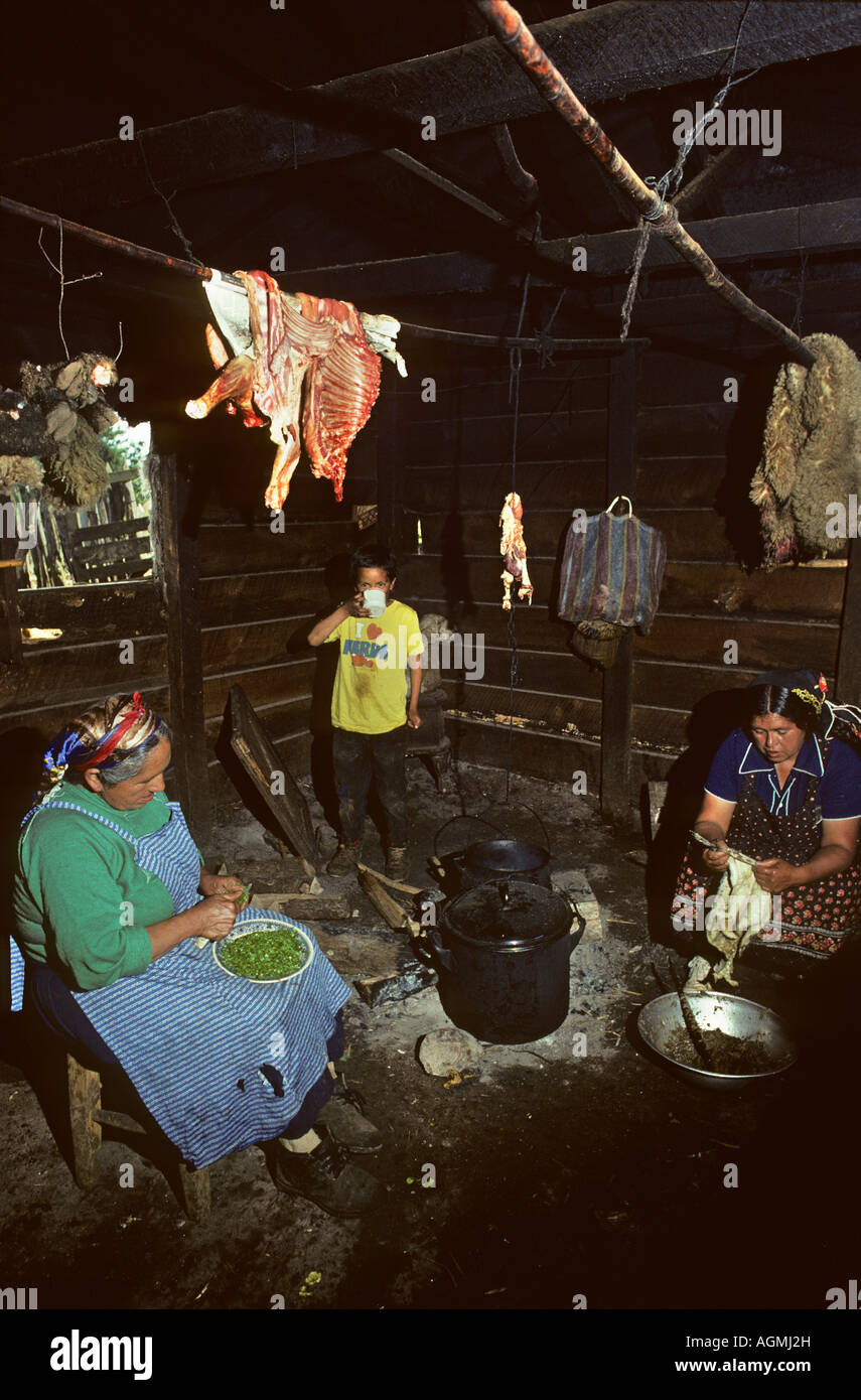 Mapuche indians chile hi-res stock photography and images - Alamy