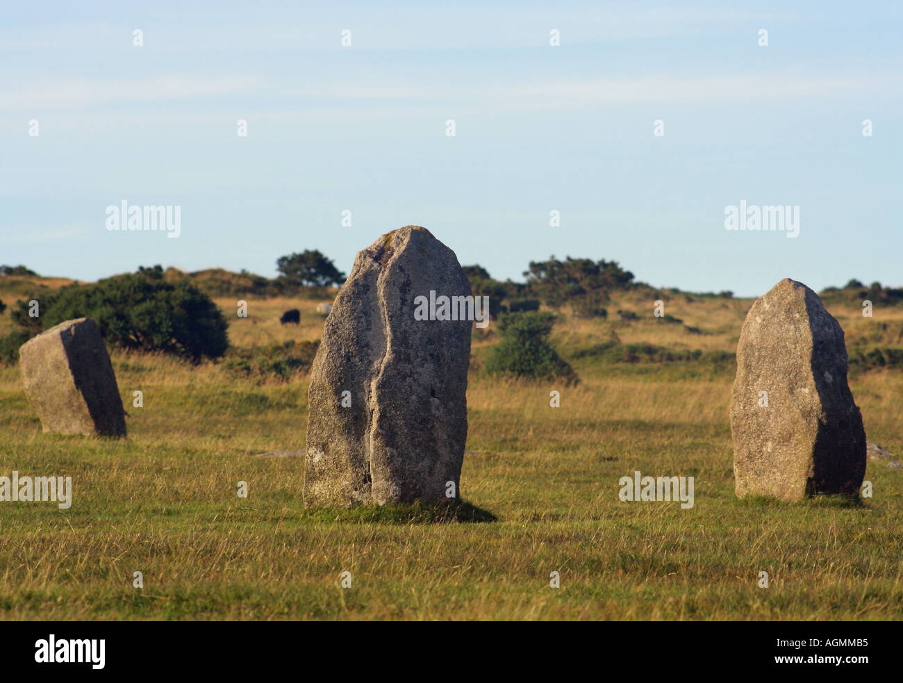 the hurlers of st cleer ancient stones in cornwall england Stock Photo ...