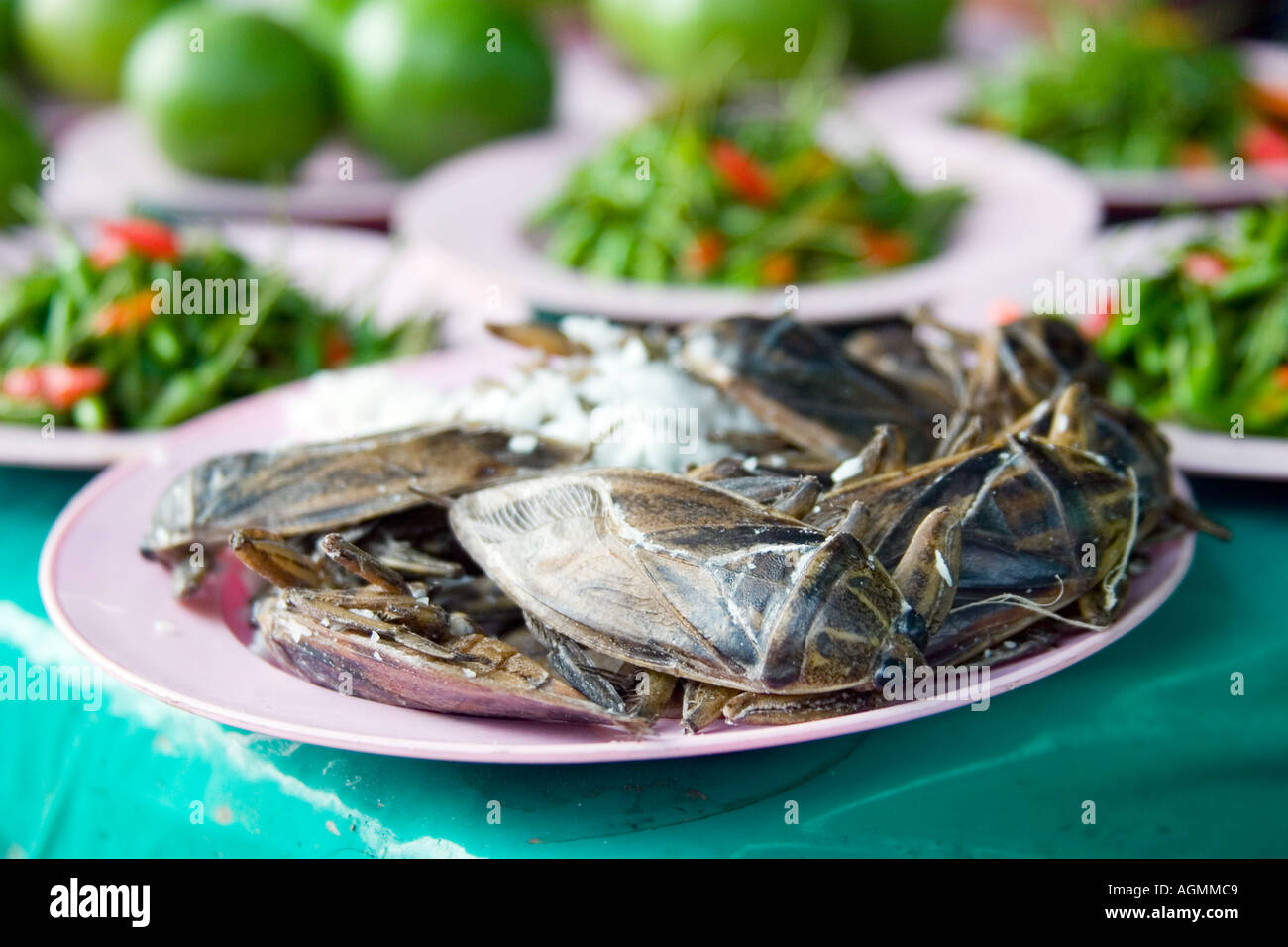 Insects plate hi-res stock photography and images - Alamy