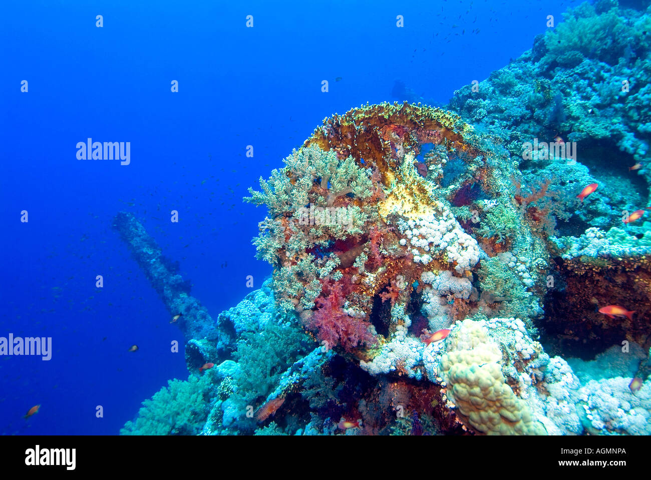 Diver tank wreck red sea hi-res stock photography and images - Alamy