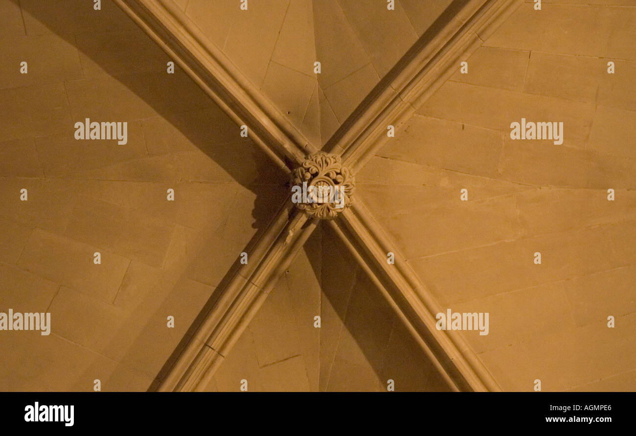 Celtic ceiling hi-res stock photography and images - Alamy