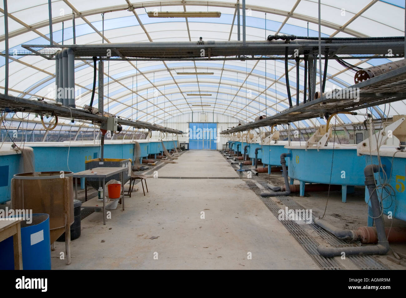 Israel Sea of Galilee fish breeding centre After maturity the fish are ...