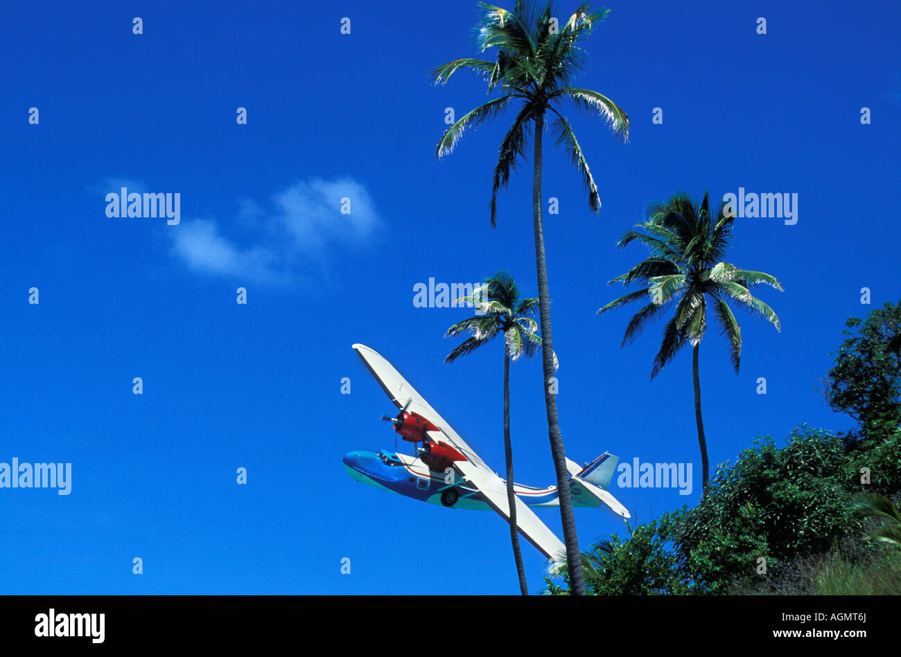 Brazil, Salvador, Catalina hydroplane flying around palm trees Stock ...